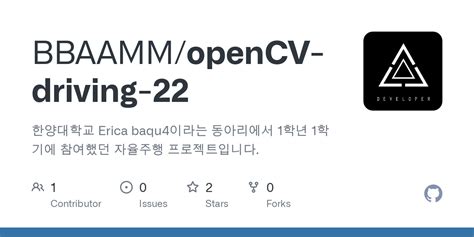 github bbaamm opencv driving 22 한양대학교 erica baqu4이라는 동아리에서 1학년 1학기에