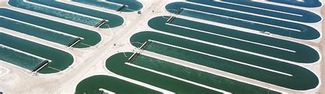 Evidences 证明，证书 Dic Healthcare 简体中文