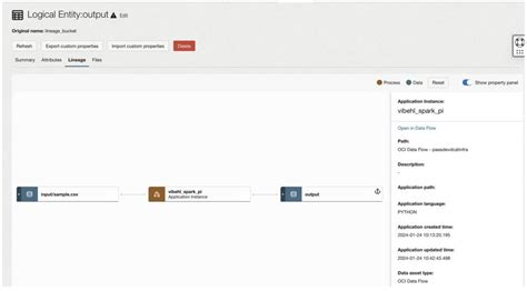 New Data Lineage Features In Oci Data Catalog