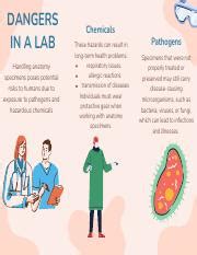 Dangers In A Lab Risks Of Handling Anatomy Specimens And Course Hero