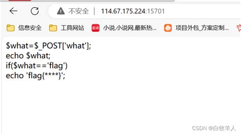 Bugku Web Postbugkuwebpost Csdn博客 Bugku Web Postbugkuwebpost Csdn博客