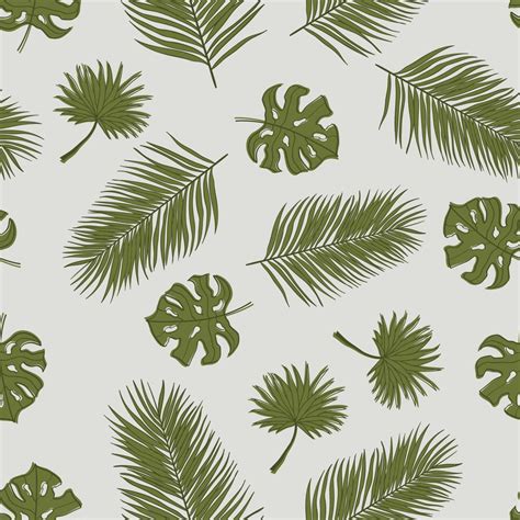 Palma Y Monstera Hojas Sin Costura Modelo Diseño Tropical Hojas Rama Y