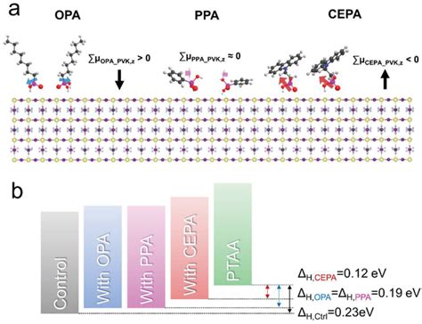 Energy‐level Alignment Of The Perovskite Surface By Controlling The Download Scientific Diagram