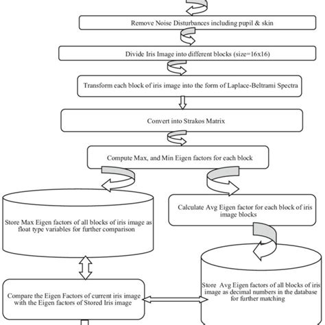 Iris Image Compression Using Eigen Factors Download Scientific Diagram