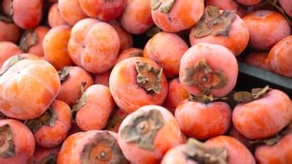 How To Plant Grow And Care For Fuyu Persimmon