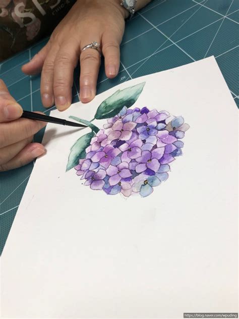 수국수채화 수채화캘리그라피클래스 캘리그라피배우기 취미미술공방 안양 평촌 범계 공방 늘솜공방 네이버 블로그