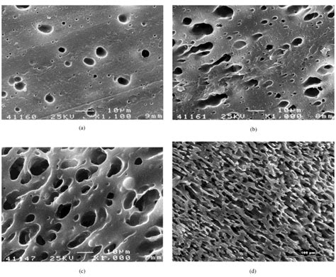 Sem Pictures Of The Phase Structure Of Ldpe Hips Blends With