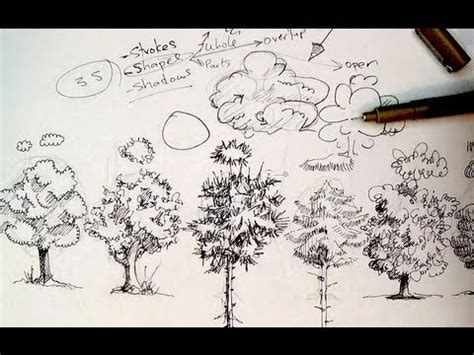 Tree Ink Drawing At PaintingValley Com Explore Collection Of Tree Ink Drawing