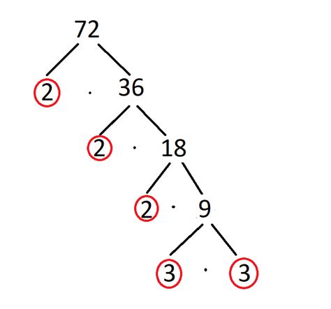 write the prime factorization of the num quizlet