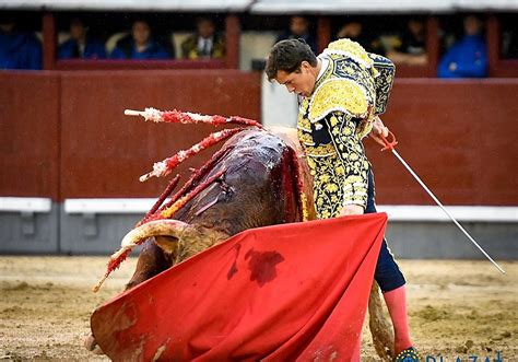 Daniel Luque «otros Días Cortaré Orejas Pero Hoy He Vivido Cosas Especiales En Esta Plaza