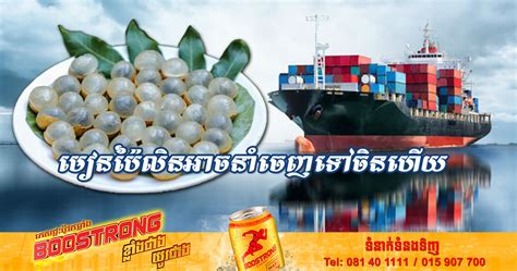 ច្បាស់ការ មៀនប៉ៃលិន ឬតាង៉ែន ត្រូវបានអនុញ្ញាតឱ្យនាំចេញទៅកាន់ប្រទេសចិនជាផ្លូវការហើយ Khmernote