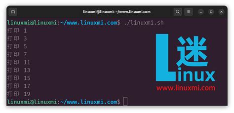 如何在 Shell 脚本中使用 Break 和 Continue 语句 Linux迷