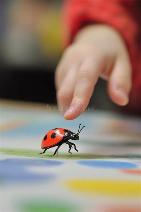 A Ladybug Teacher Leading A Counting Lesson Using Spots Stock