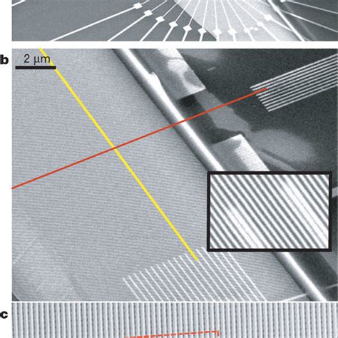 Sems Of The Nanowire Crossbar Memory A Image Of The Entire Circuit Download Scientific