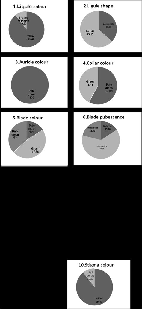 Morphological Variations And Frequency Distribution For13 Qualitative