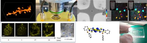 Applications Physics Engineering And Chemistry For Biology