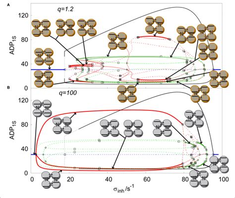 comparison of solution diagrams of four coupled cells in cyclic