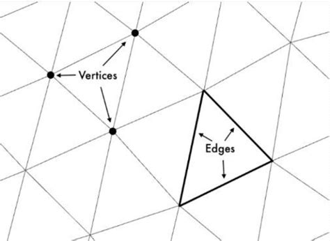 A Visual Mesh Showing The Position Of The Vertices And Edges