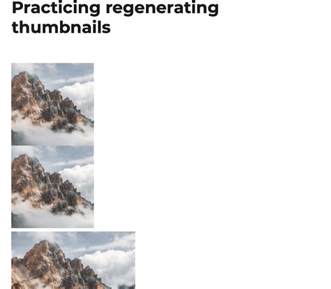 Regenerate Thumbnails Learn Wordpress