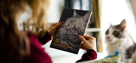 About Cfa The Cat Fanciers Association