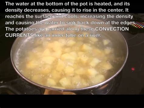 Convection Currents In A Pot