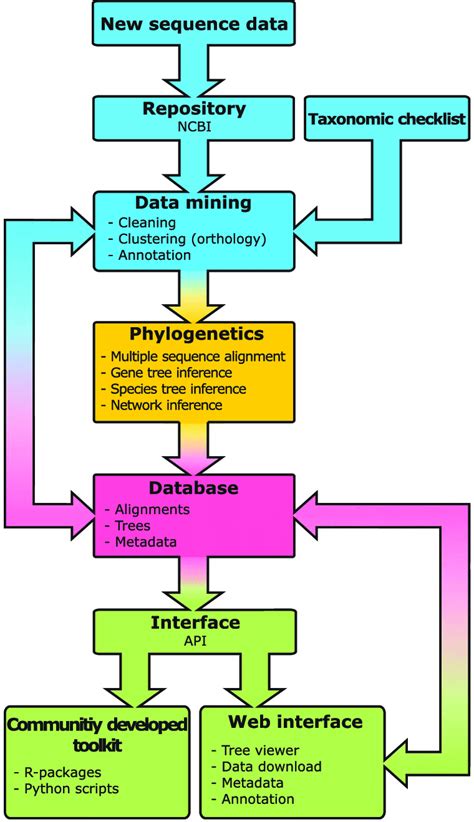 Schematic Representation Of A Pipeline For Building And Disseminating