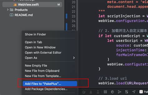 在swiftui项目中使用wkwebview加载自定义脚本文件swiftui Wkwebview Csdn博客