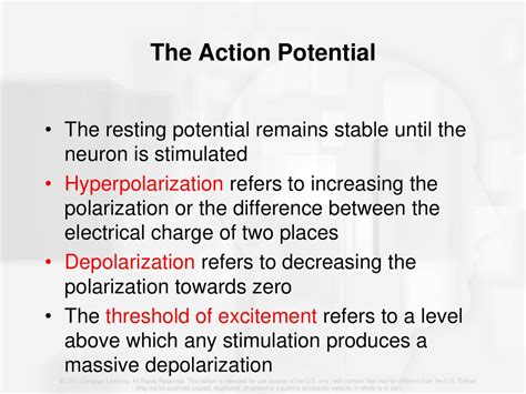 Lecture Neurons And Action Potentials Ppt Download