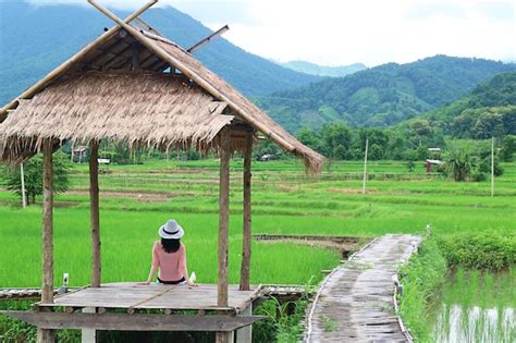 45000 Nipa Hut Pictures