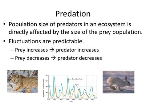 Vocabulary Keystone Species Ecological Succession Habitat Ppt Download