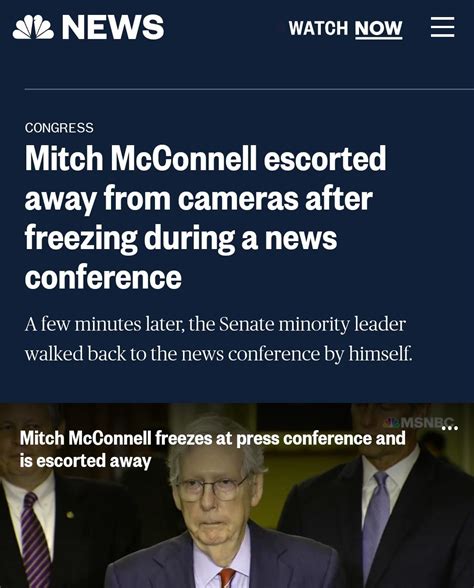 Should Be Titled Turtle Retreats Into Shell During News Conference