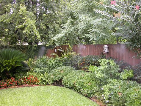 Introducing The Kudzu Bug What To Know Island Pest Control