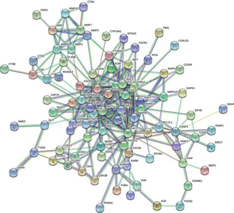 Bioinformatics Analysis Uncovers Mapk As The Central Target Of Cub A Download Scientific