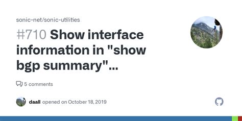Show Interface Information In Show Bgp Summary Command Issue 710 Sonic Net Sonic