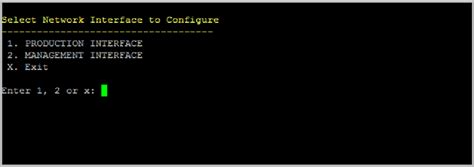 6 Enable The Management Interface