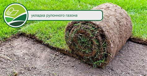 Как укладывать рулонный газон: Как самостоятельно уложить рулонный ...