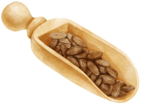 Free Watercolor Cocoa Beans In Wooden Scoop 9659721 Png With