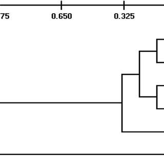 Dendrogram Showing The Genetic Divergence Among Six Multivoltine Races Download Scientific