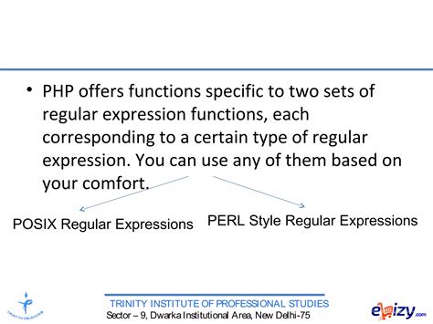 web based programming data validation ppt
