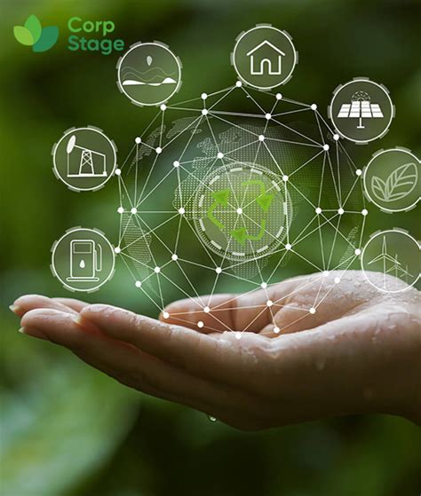 Carbon Offsetting Programs In Australia A Comprehensive Guide