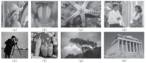 Mswoa A Mixed Strategy Based Improved Whale Optimization Algorithm For