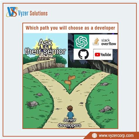 Vyzer Solutions On Linkedin Vyzersolutions Techdecisions Developercommunity Problemsolving