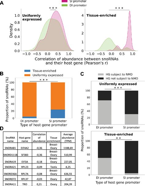 Dual Initiation Of Transcription Uncouples The Expression Of The Host Download Scientific