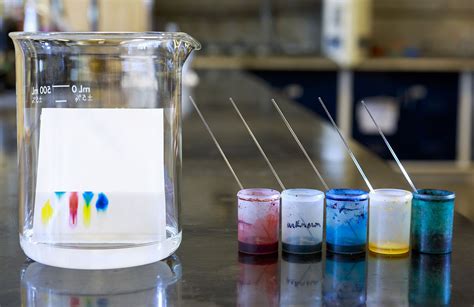 Paper Chromatography Definition Method And Uses Britannica