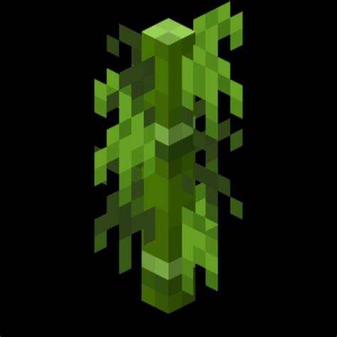 Minecraft Bamboo Png