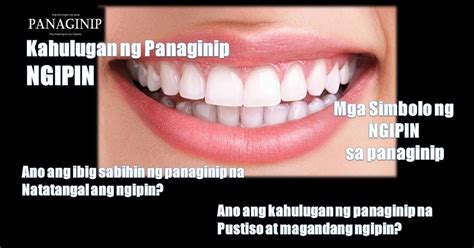 Online Proxy Browser Free