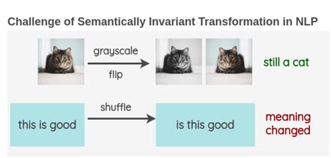 A Visual Survey Of Data Augmentation In Nlp Pranay Reddy Bommineni