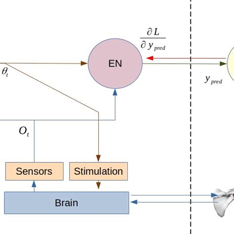 Training The Neural Co Processor A En Training Phase Backpropagate