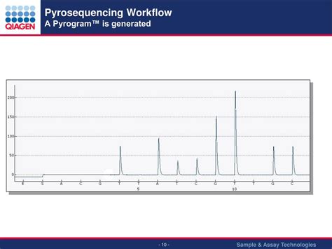 Ppt Pyromark ™ Q24 Andrea Tesoriero Application Specialist Powerpoint
