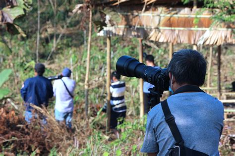Dvb အောက်ချင်းမျိုးနွယ် အောင်လောင်ငှက်များကို လာရောက်ကြည့်ရှုဓာတ